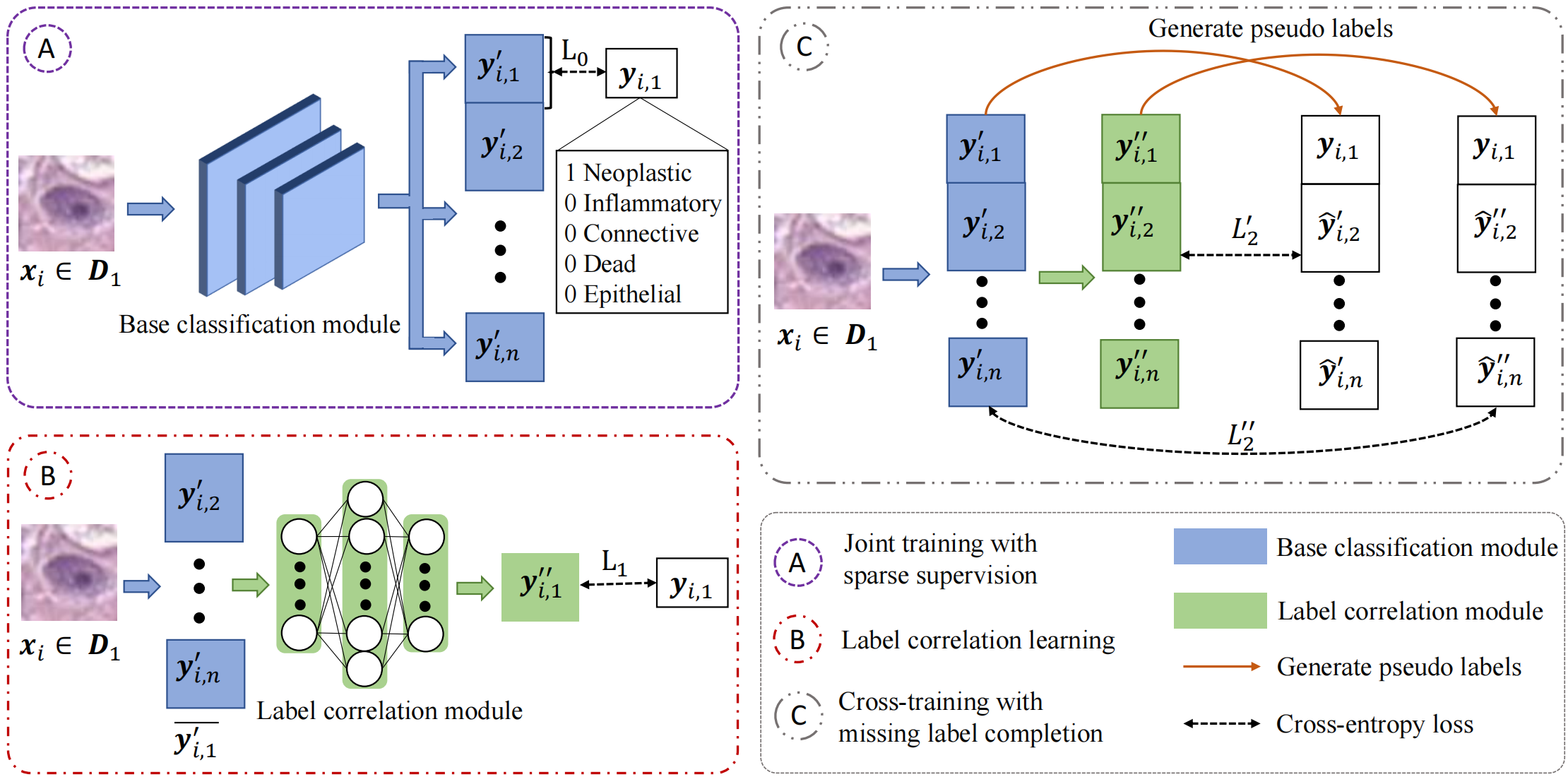 Merging Nucleus Datasets By Correlation Based Cross Training